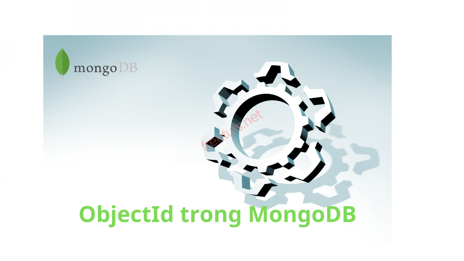 ObjectId trong MongoDB - Freetuts